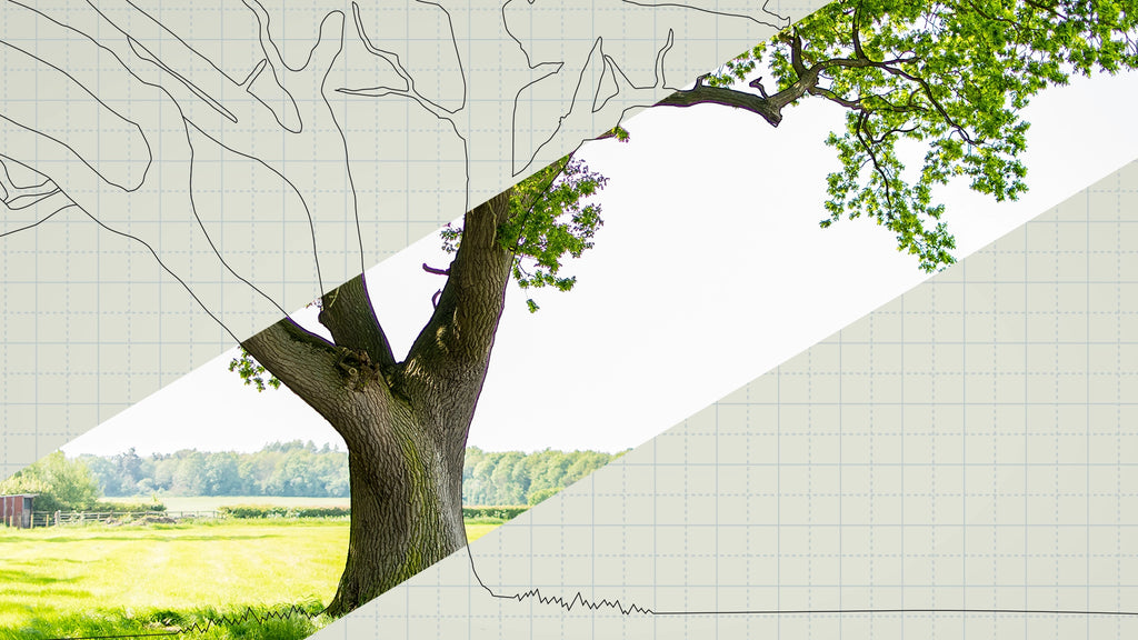 My Site Plan | 100% Online Site Plan Provider